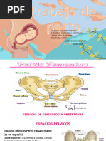 Maniobras de Asistencia Al Parto | PDF | Pelvis | Parto
