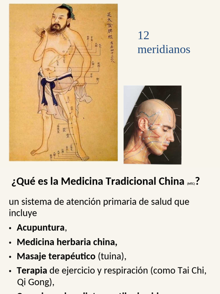 12 Meridianos | PDF | Qi | Acupuntura