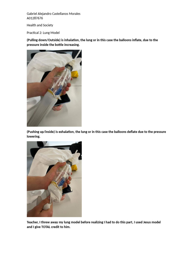 Practical 2 - Lung Model | PDF
