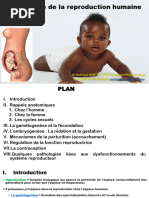 La Reproduction Chez L'homme | PDF | Cycle menstruel | Utérus