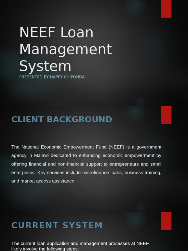NEEF Loan Management System (Happy Chiponda) | PDF | Computing ...