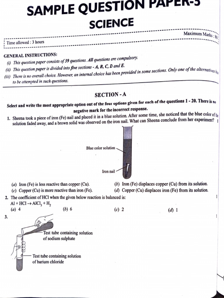 Science sample paper 5 | PDF | Acid | Sodium