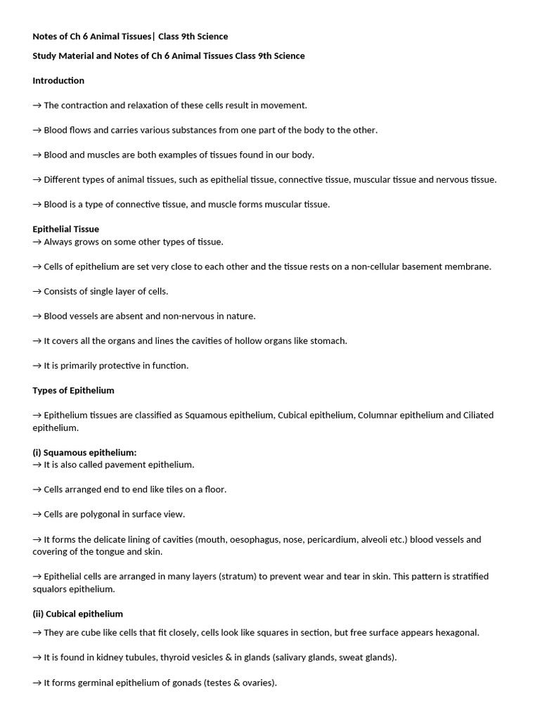Class 9 Animal Tissues Study Notes | PDF | Epithelium | Muscle