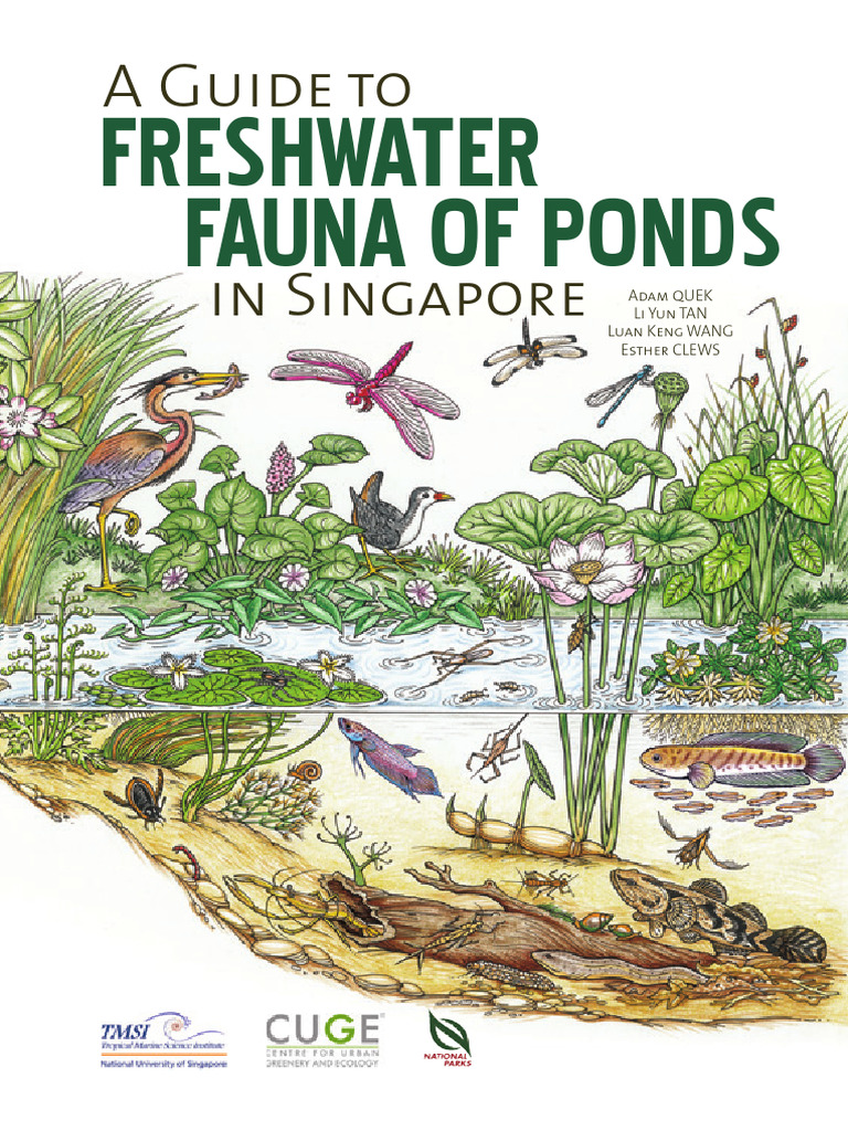 Vguide Pond | PDF | Zoology | Biology