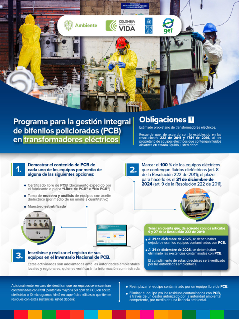 Programa Gestion Integral PCB - VF - 30enero2024 1 | PDF | Bifenilo policlorado