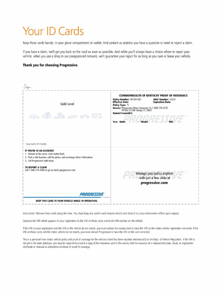 Blank Progressive | PDF