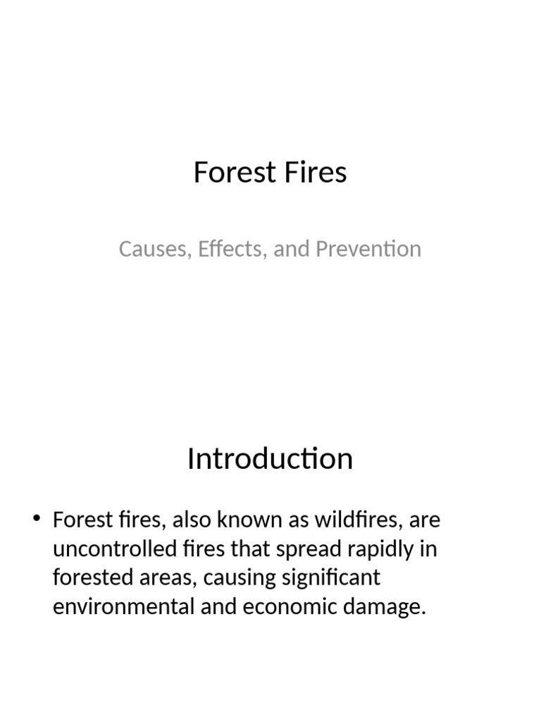 Forest Fires Presentation | PDF