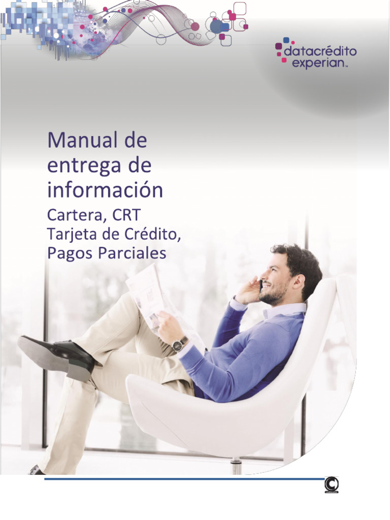 2-Manual de Entrega de Informacion Cartera Actualizado 202206 | PDF ...