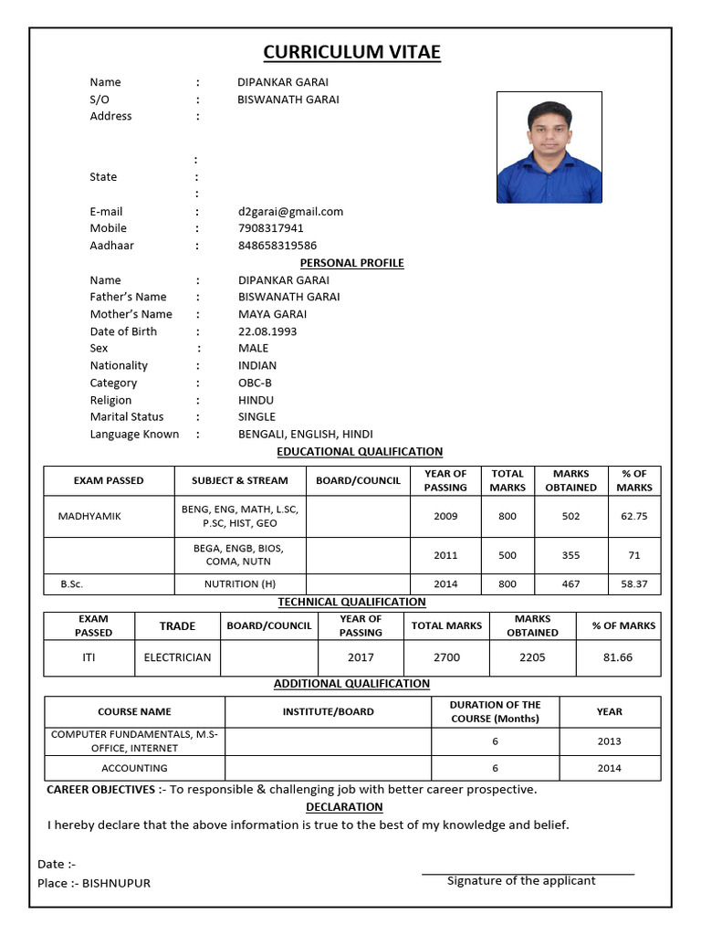 CV 2 | PDF | Educational Stages