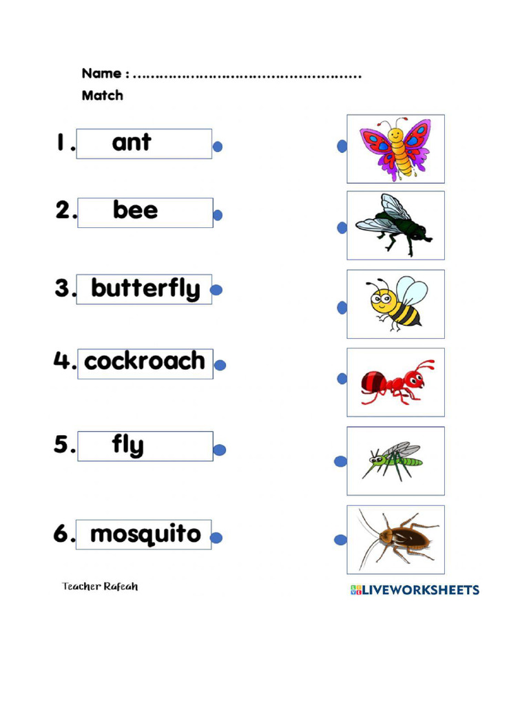 Https:Www.liveworksheets.com:Es:Node:1217167:Download PDF | PDF