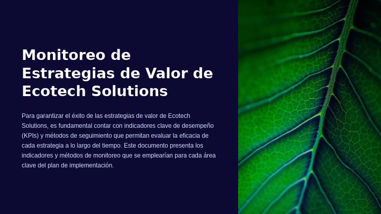 Monitoreo de Estrategias de Valor de Ecotech Solutions | PDF