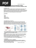 Disecando el Pulmón de Vaca | PDF | Pulmón | Sistema respiratorio