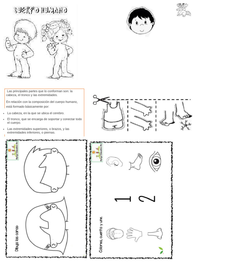 El Cuerpo | PDF