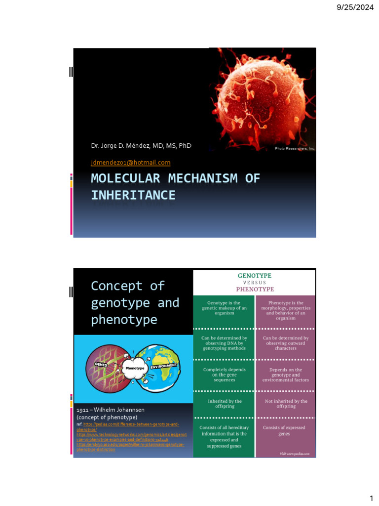 Molecular Mechanisms of Inheritance | PDF | Meiosis | Mitosis