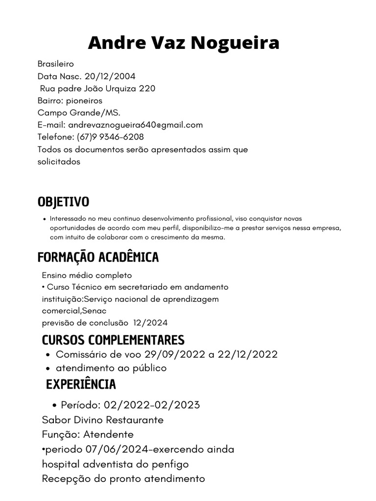 Currículo André 2025 (1) | PDF