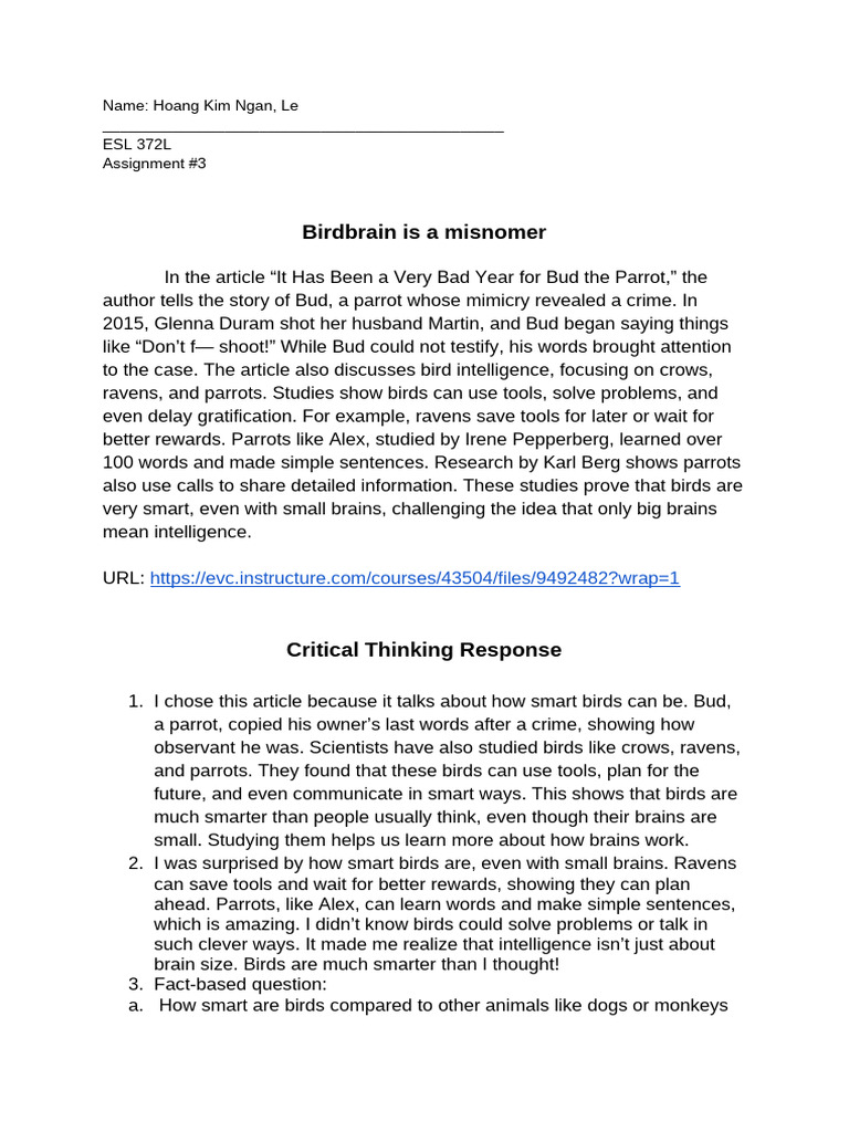 Assignment #3 | PDF