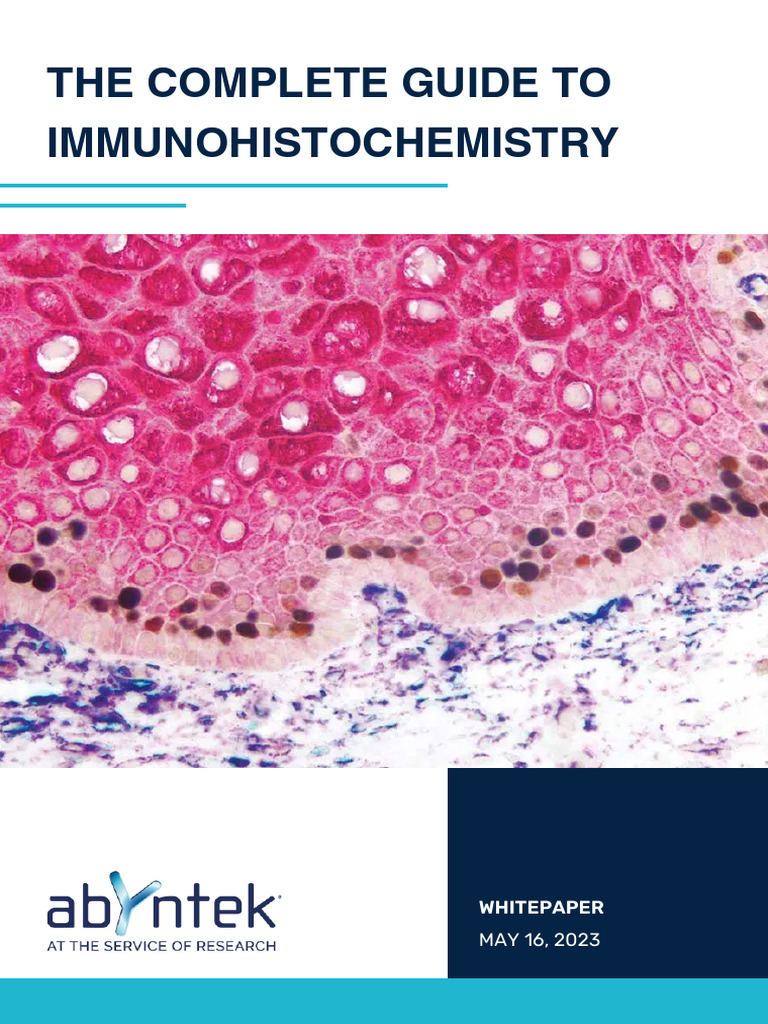 Comprehensive Immunohistochemistry Guide | PDF | Immunohistochemistry ...