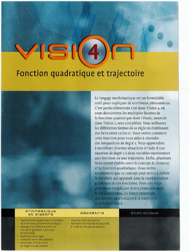 Vision 4 | PDF