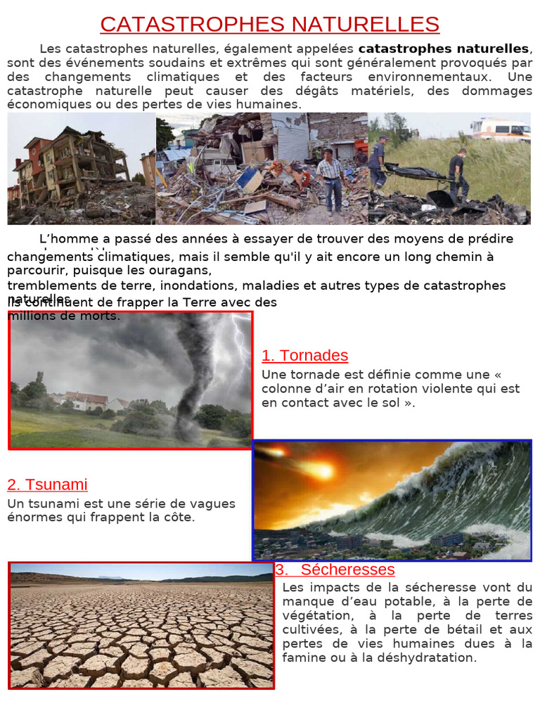 Impact des catastrophes naturelles | PDF