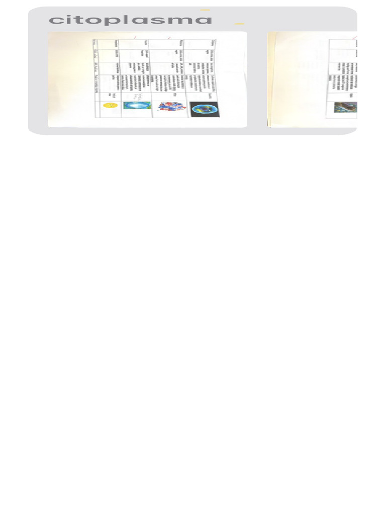 Citoplasma | PDF