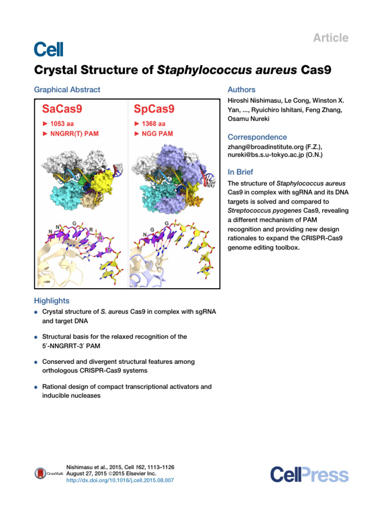 Staphylococcus aureus Cas9 Crystal Structure | PDF | Dna | Health Sciences