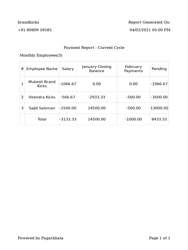 Monthly Payment Report for Employees | PDF