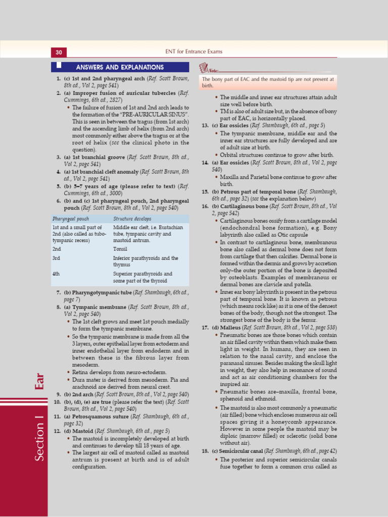 EEE Ear Answers | PDF | Ear | Sensory Organs