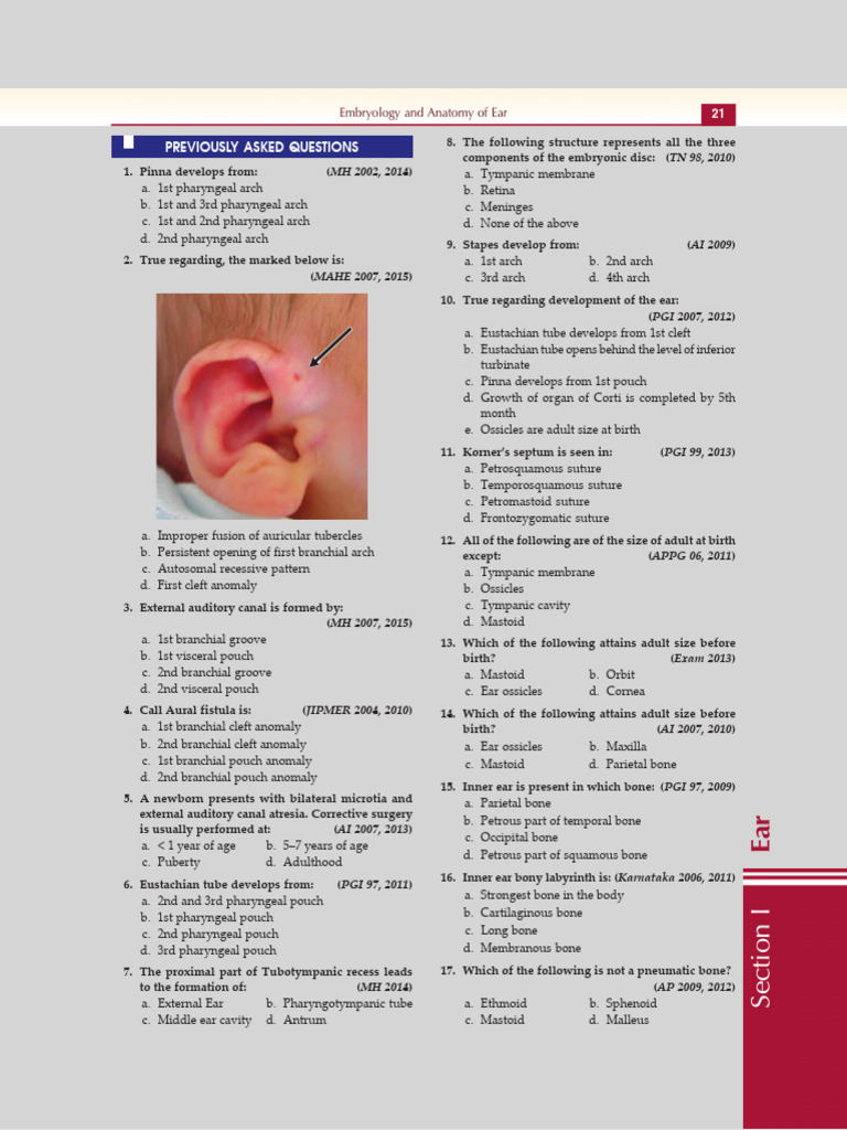 EEE Ear Questions | PDF | Ear | Hearing