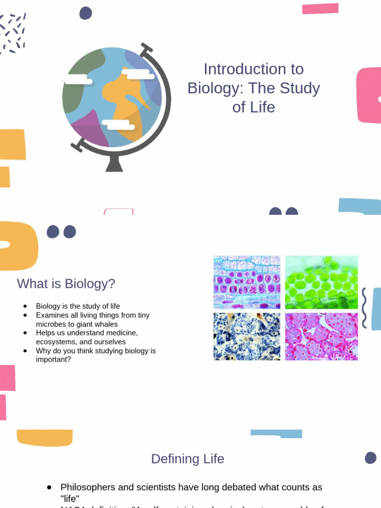 Presentation - 9th Grade | PDF | Life | Ecosystem
