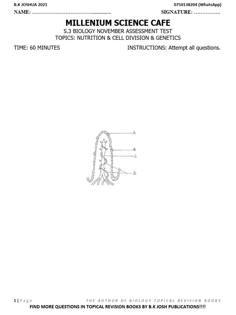 S3 Mille Nov Test (Nutrition Genetics) BK Joshua 2021 PDF | PDF ...