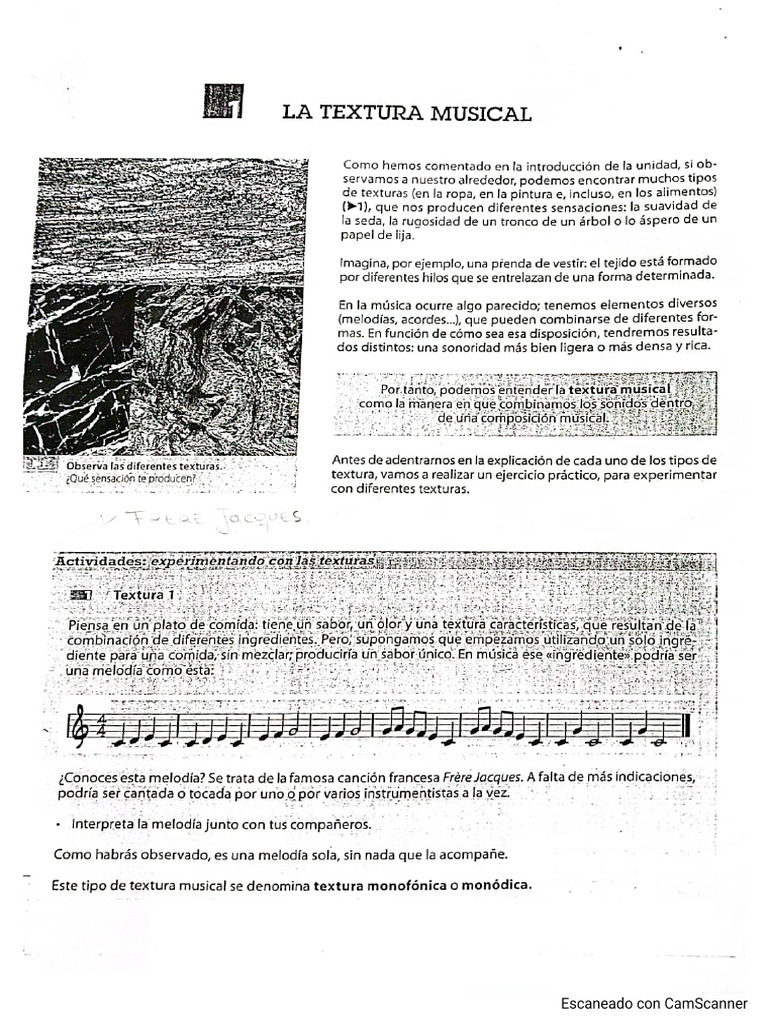 Textura Musical 304 | PDF