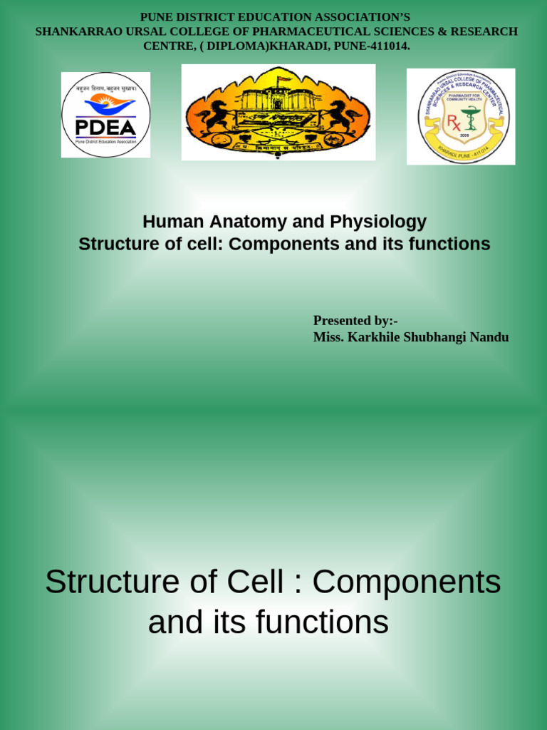 Cell Structure and Function Overview | PDF | Cell (Biology) | Cell Nucleus
