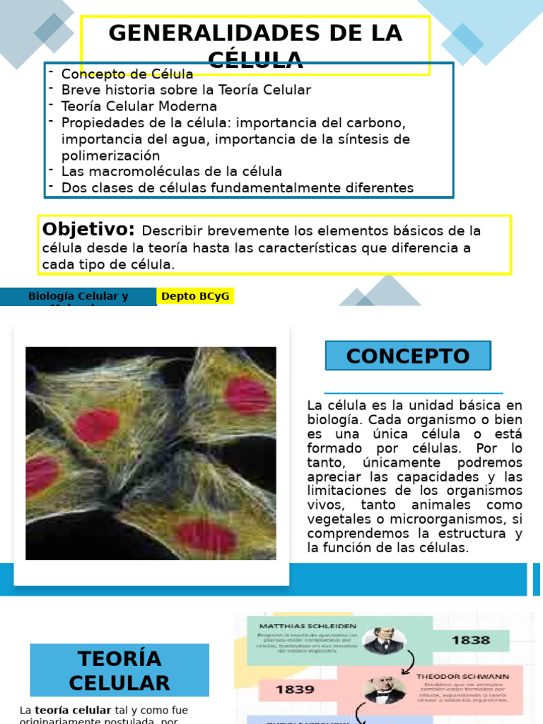 SEMANA 1 Generalidades de La Célula | PDF | Biología Celular) | Propiedades del agua