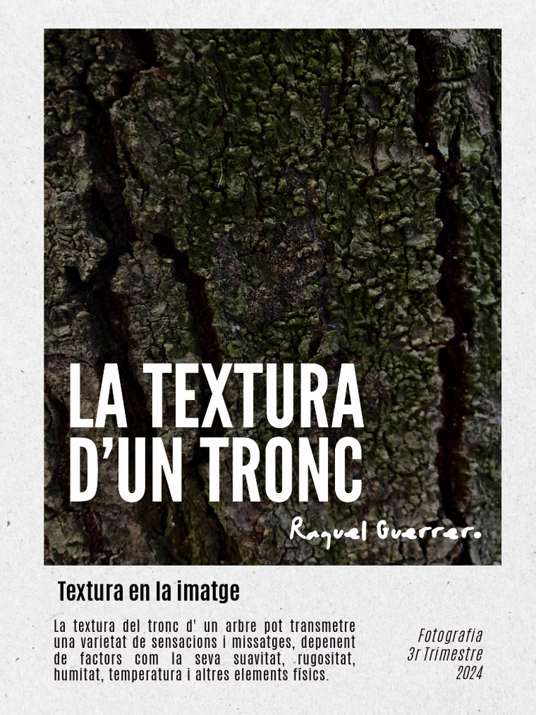 Textura en la imatge | PDF