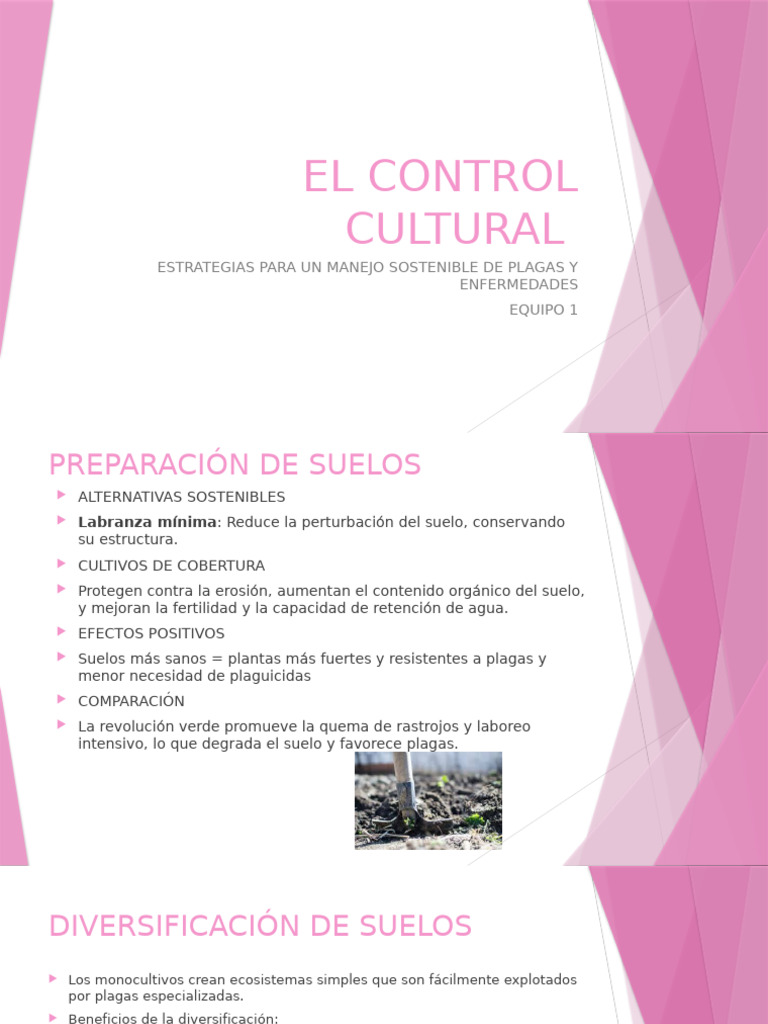 EL CONTROL CULTURAL | PDF | Agricultura | Plaga (organismo)