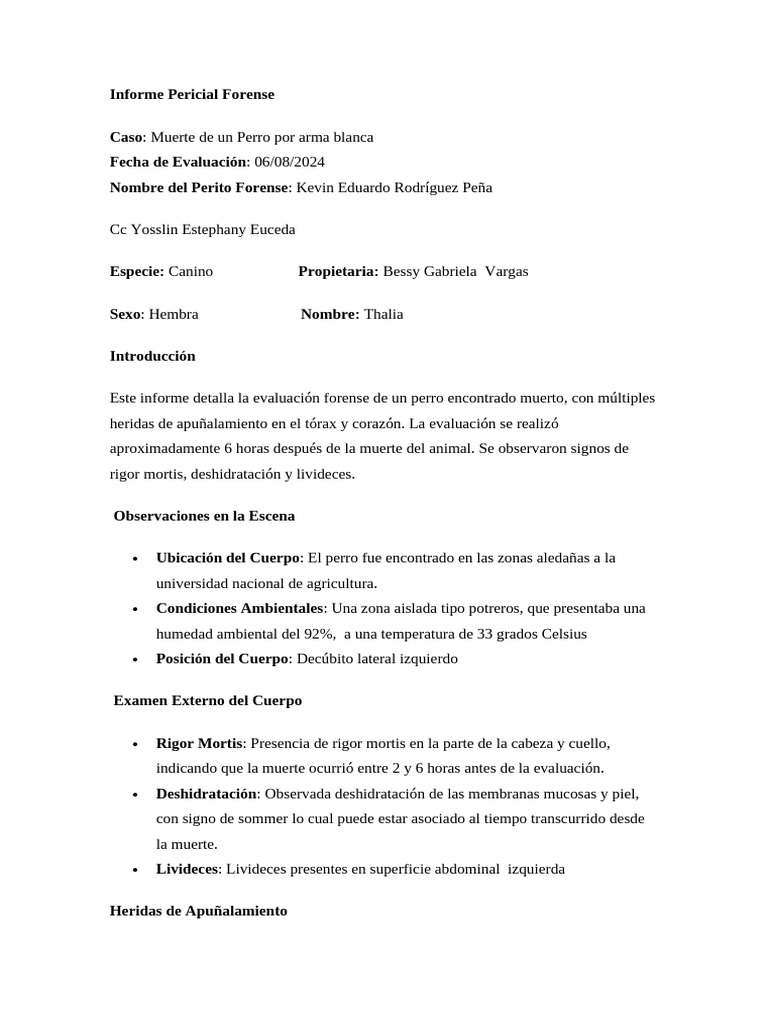 Informe Pericial Forense | PDF | Tórax | Corazón