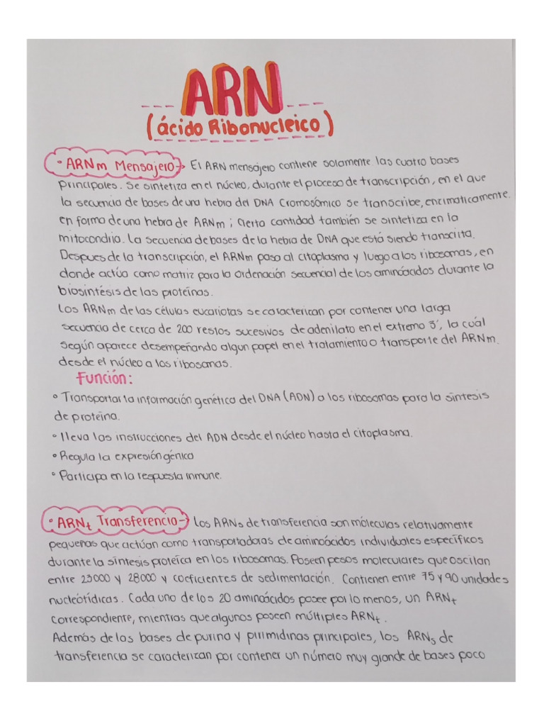 TIPOS DE ARN | PDF