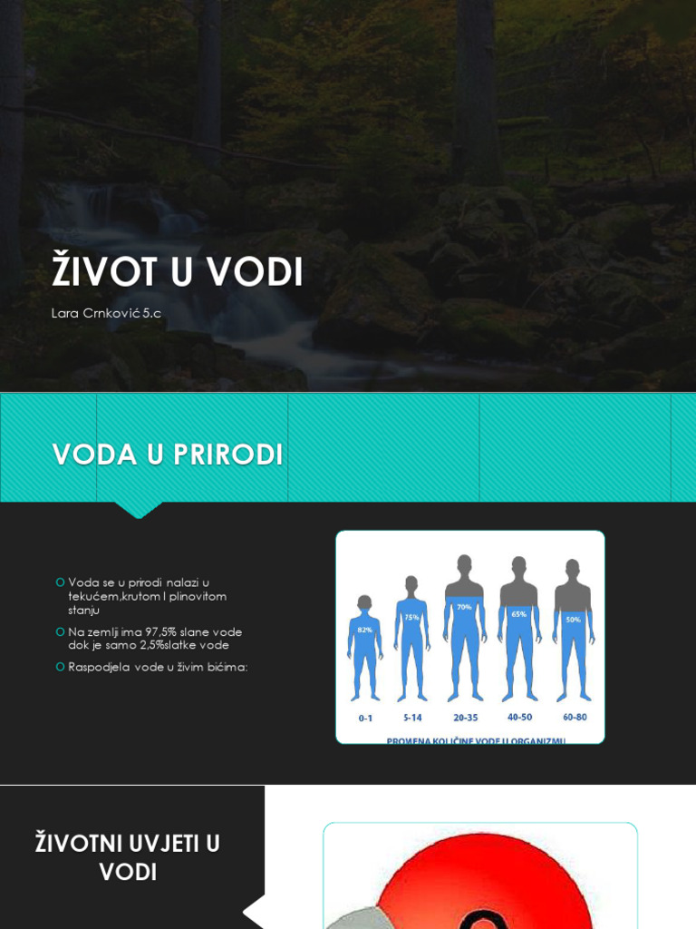 Lara Crnković Voda u Prirodi | PDF