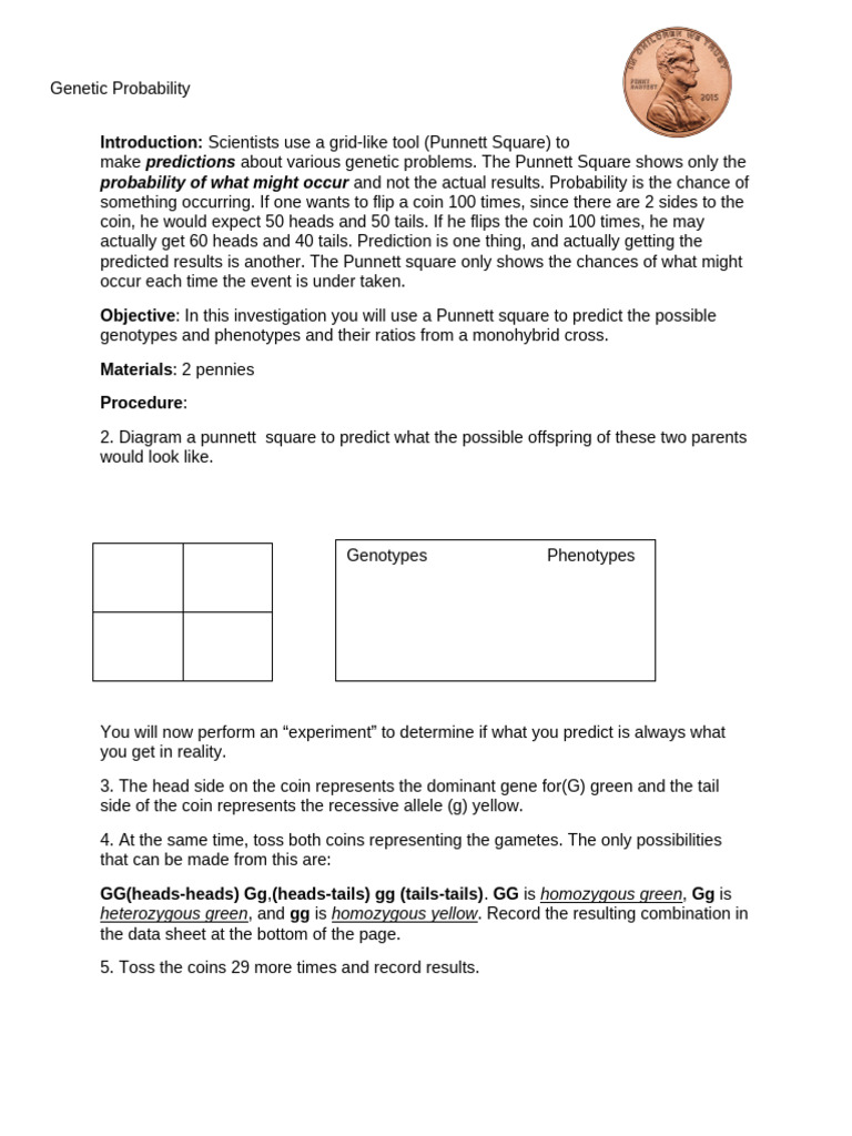 Coin Toss Punnett Square | PDF | Genotype | Dominance (Genetics)