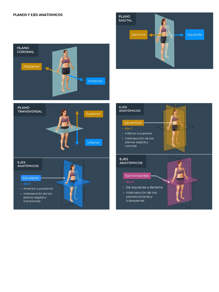 Planos y Ejes Anatomicos | PDF