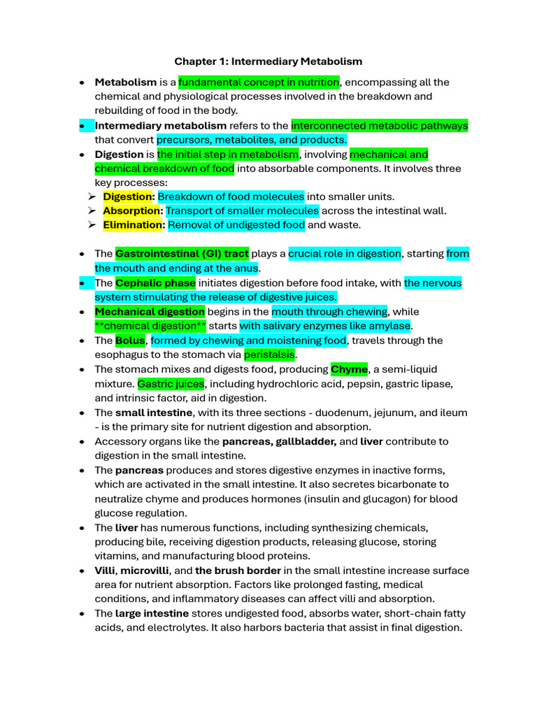 REVIEW RRRR | PDF | Glycolysis | Dna