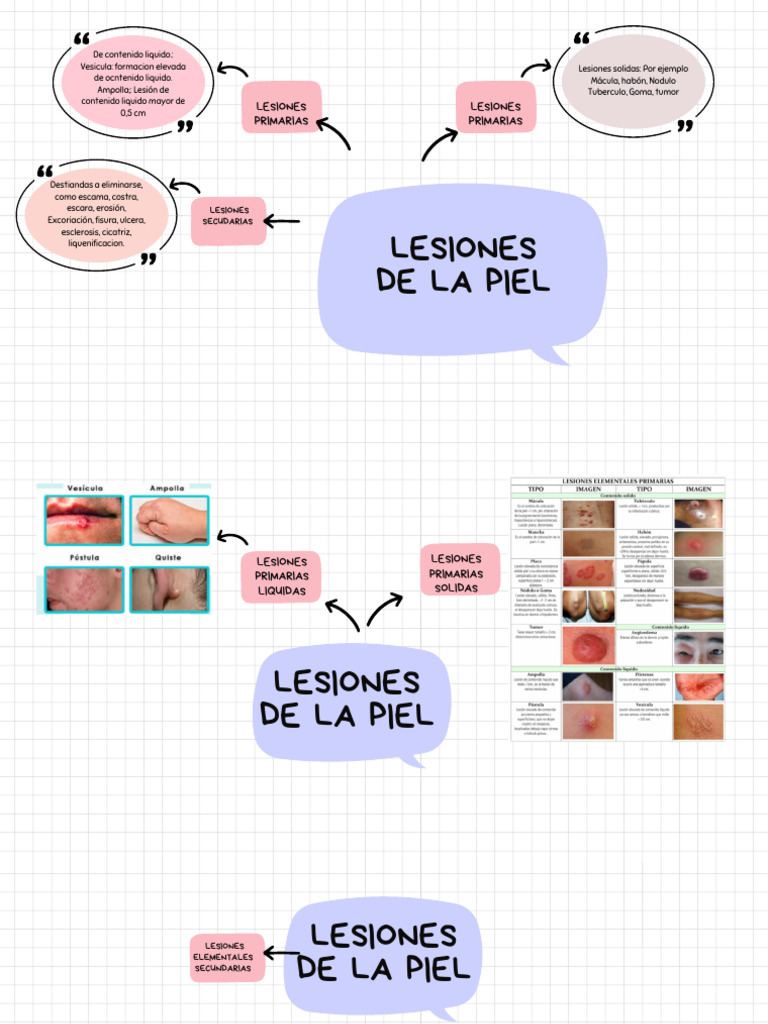 Tipos de Lesiones Cutáneas: Primarias y Secundarias | PDF