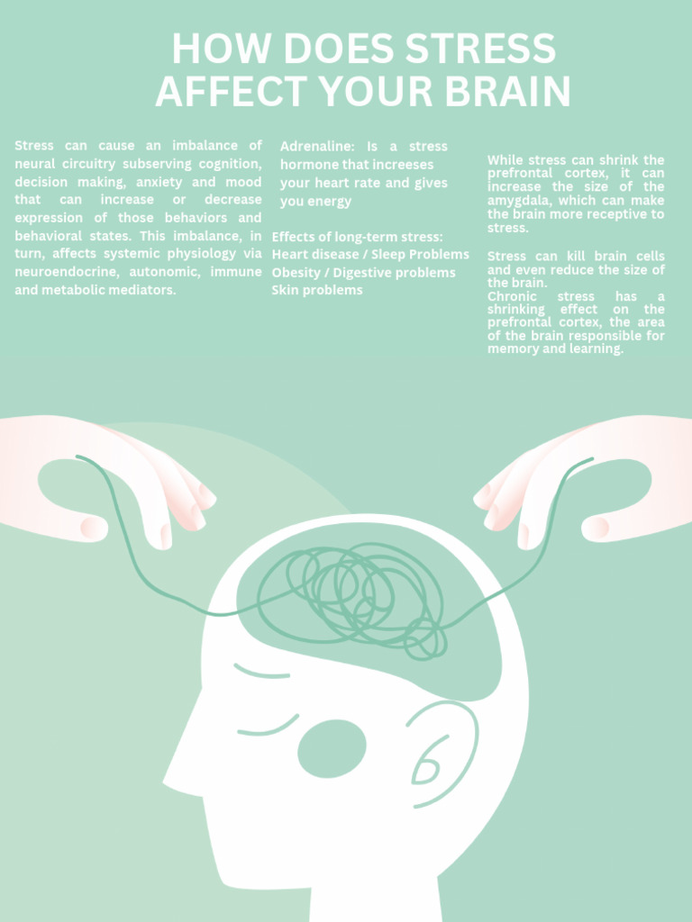How Does Stress Affect Your Brain - 20240903 - 121913 - 0000 | PDF