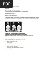 Test de Schober en Espondilitis Anquilosante | PDF | La columna ...