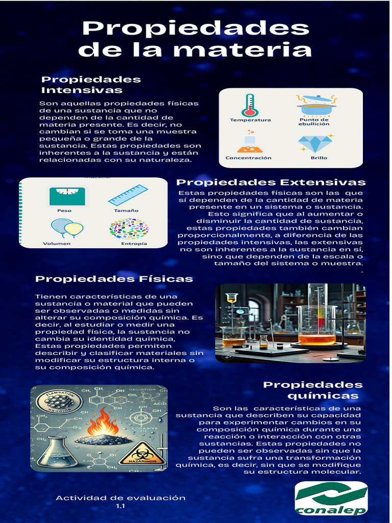 Infografía Proyecto de Ciencia Moderno Rojo Azul_20240907_142304_0000 | PDF