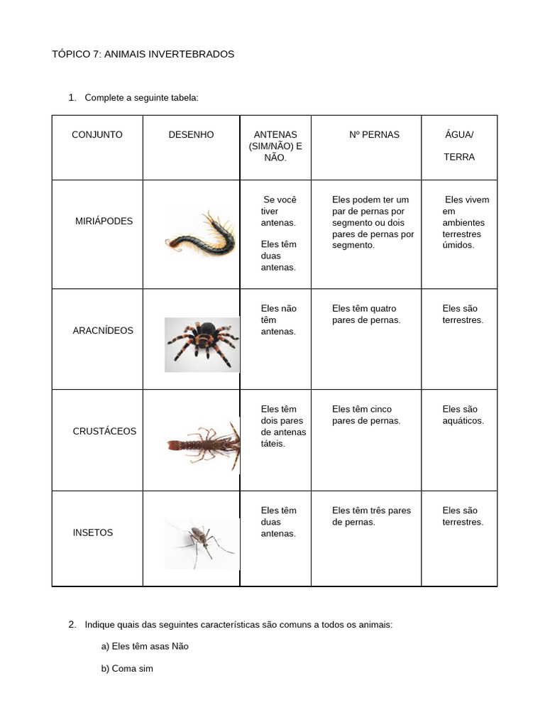 ATIVIDADES TEMA 7 (ANIMAIS INVERTEBRADOS) (2) (1) | PDF | Insetos ...