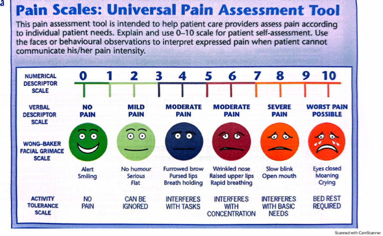 Pain Scale | PDF