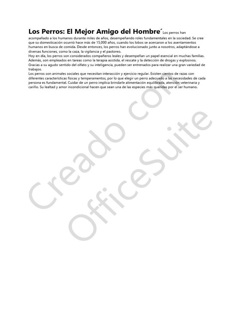 Ensayo Los Perros | PDF