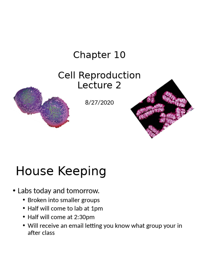 CH 10b-Cell Reproduction - 9.2 | PDF | Mitosis | Cell Cycle