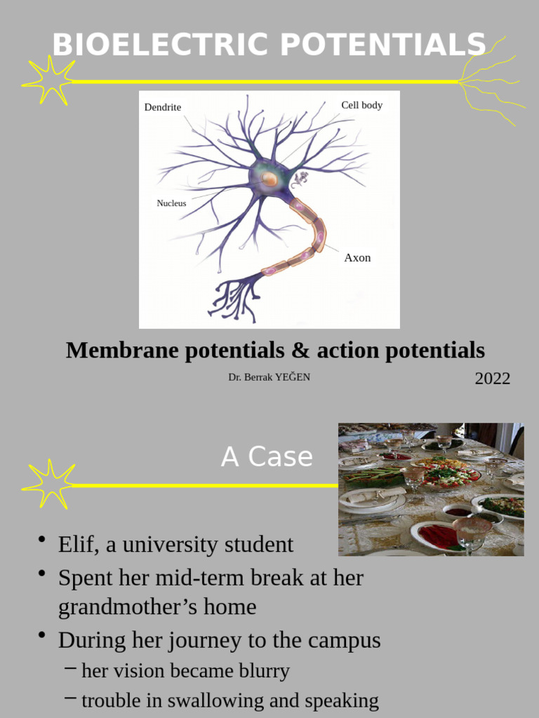 'Bioelectric Potentials' Dosyasını Sizinle Paylaşıyorum | PDF | Action ...